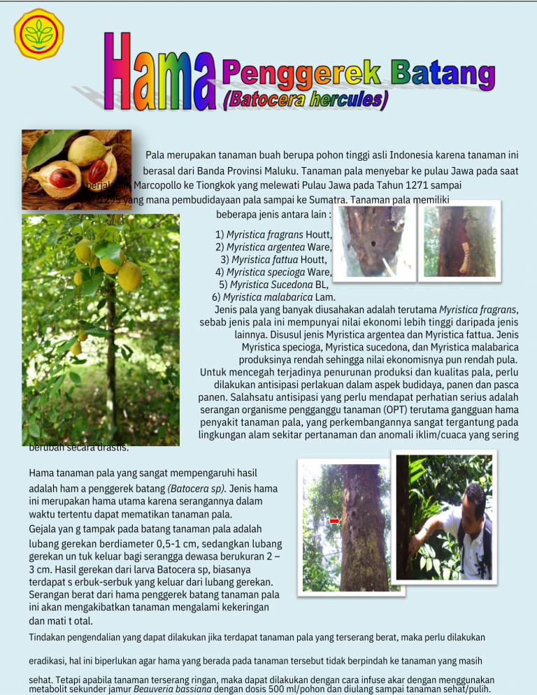 Balai Besar Perbenihan dan Pelindungan Tanaman Perkebunan Ambon » Hama ...